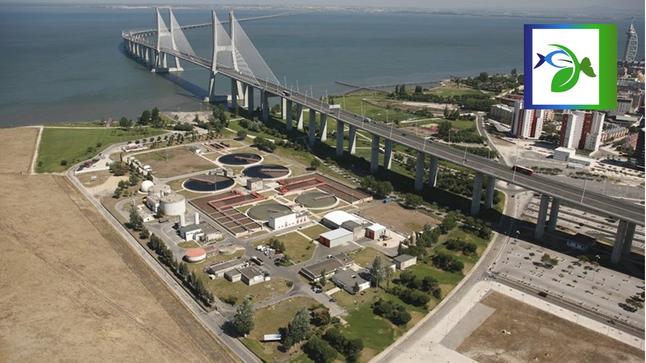 Como funciona uma ETAR? | Estudo Autónomo