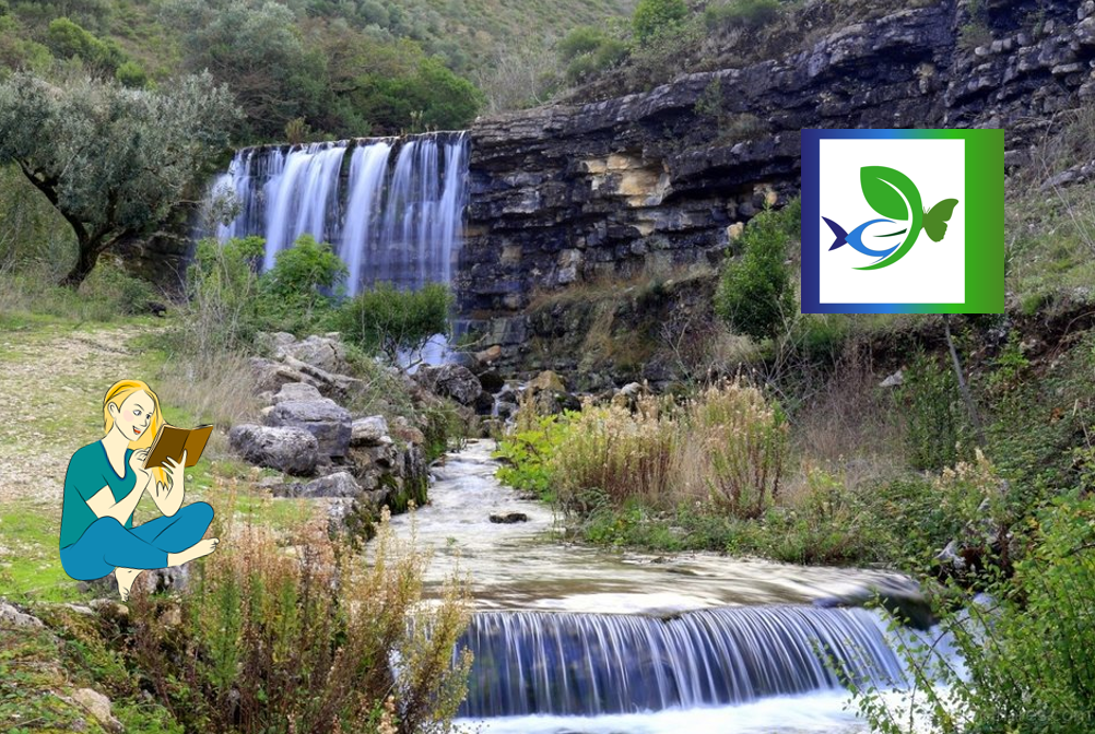 Roteiro literário na Fórnea | Estudo Autónomo